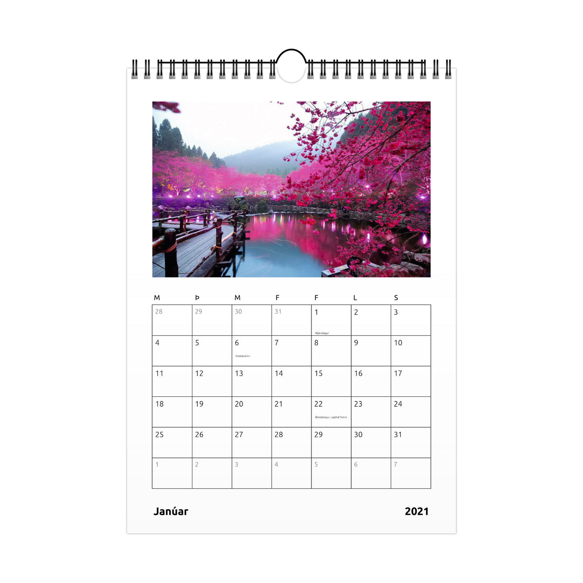 Dagatal 2025 - 21x30 - Týpa 3– Kilja.is