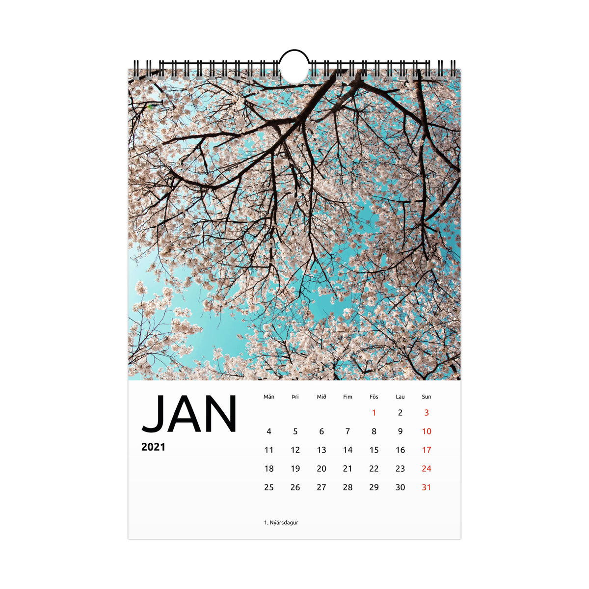 Dagatal 2025 - 21x30 - Týpa 4– Kilja.is